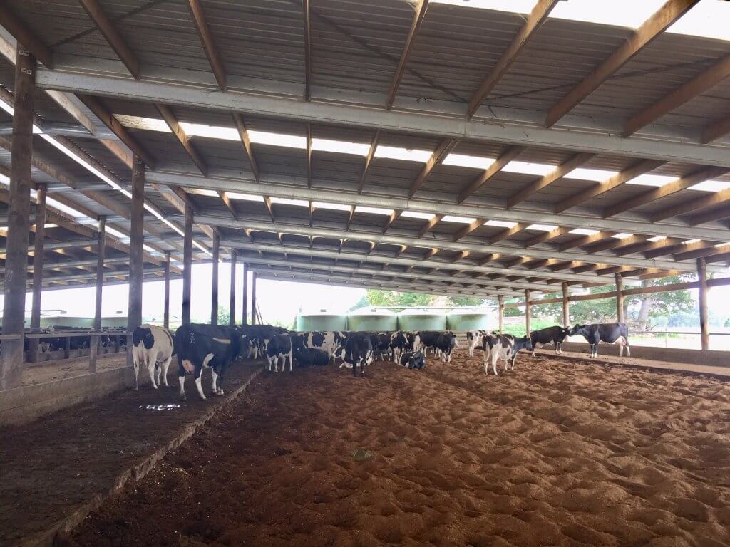 Composting Barns – New Zealand Association of Ruminant Nutritionists